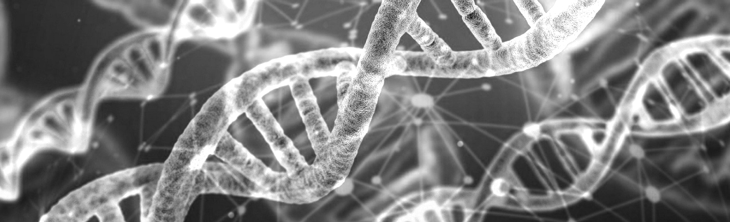 Patient Testing Services for Accurate Diagnostics | MedLabs